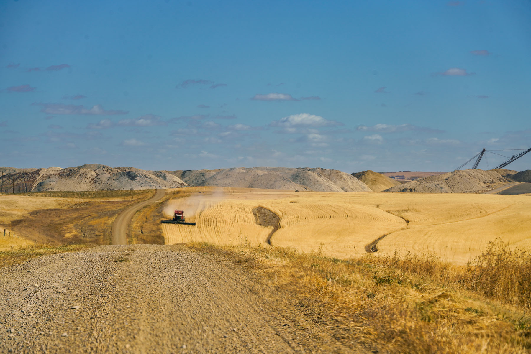 Town of Coronach | Escape the race