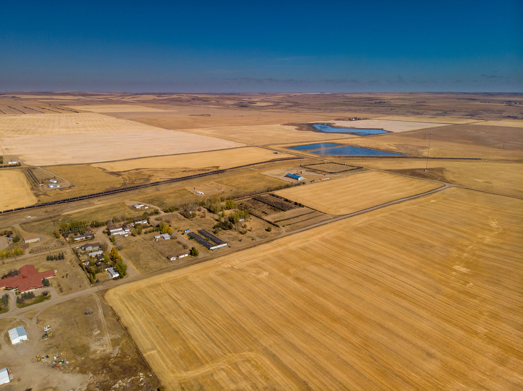 Town of Coronach | Escape the race